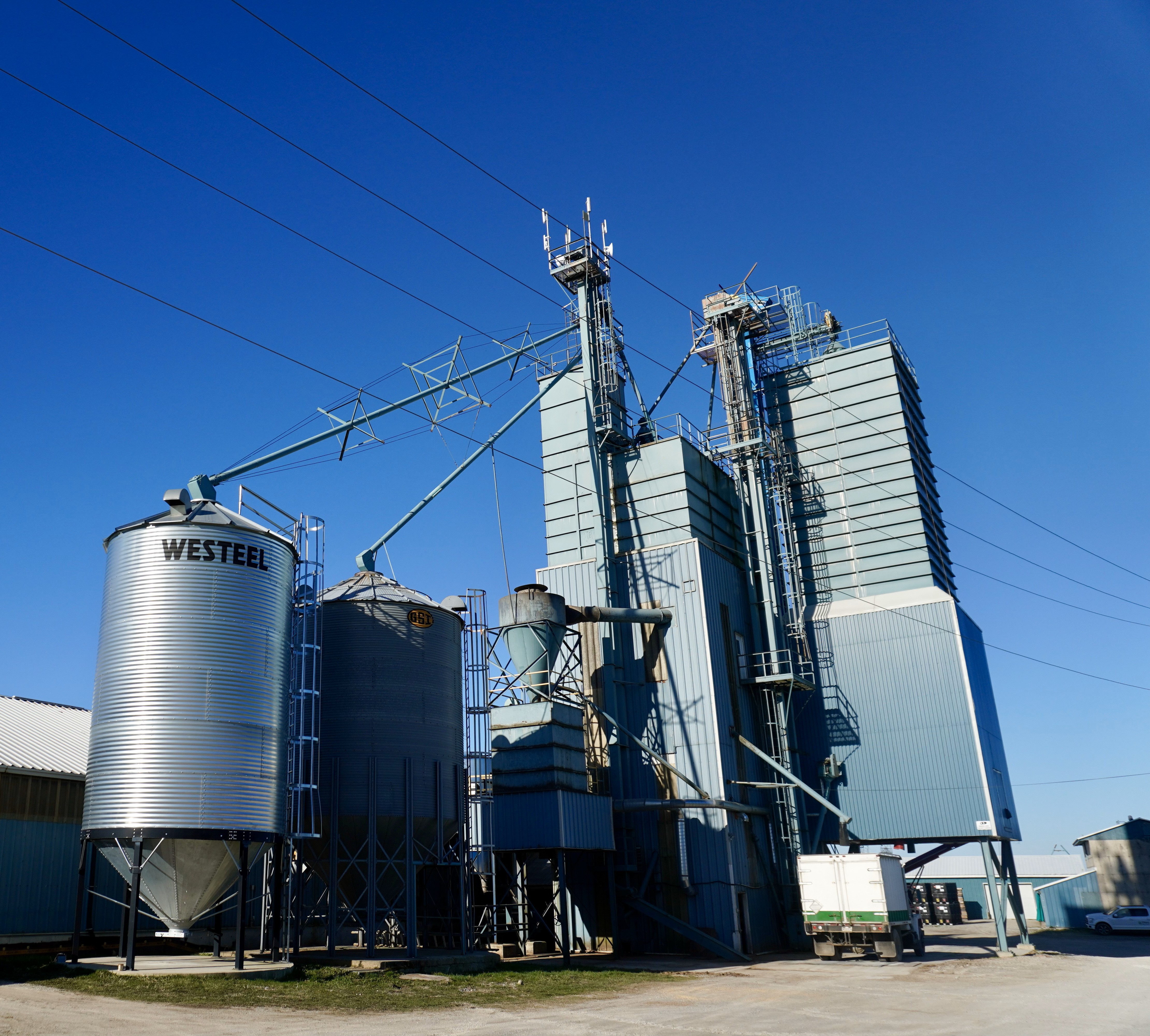 Alliance Agri-Turf Ivy Achieves Certification | Alliance Agri-Turf